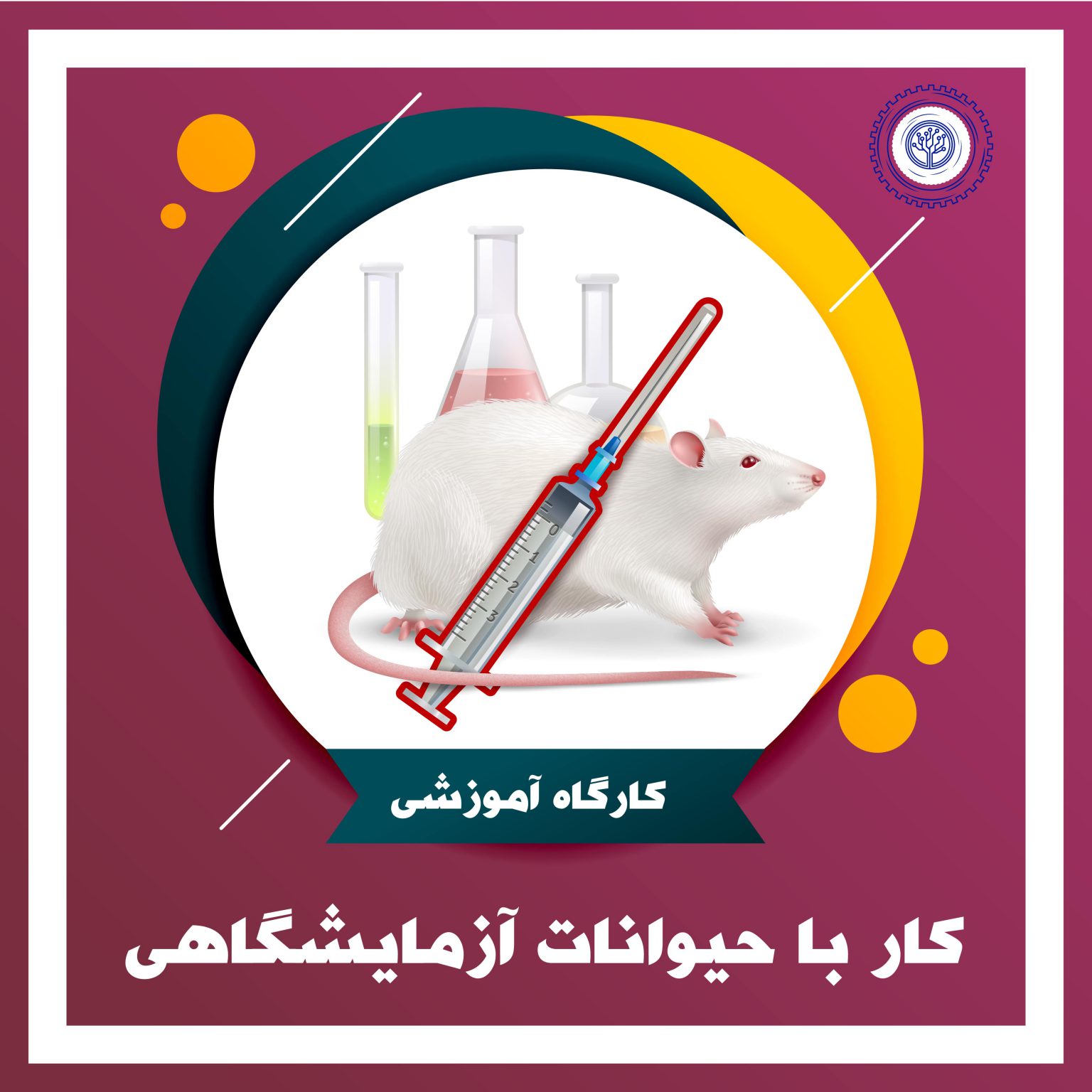 کار با حیوانات آزمایشگاهی Archives شمص شبکه ملی مهارت صنایع پیشرفته